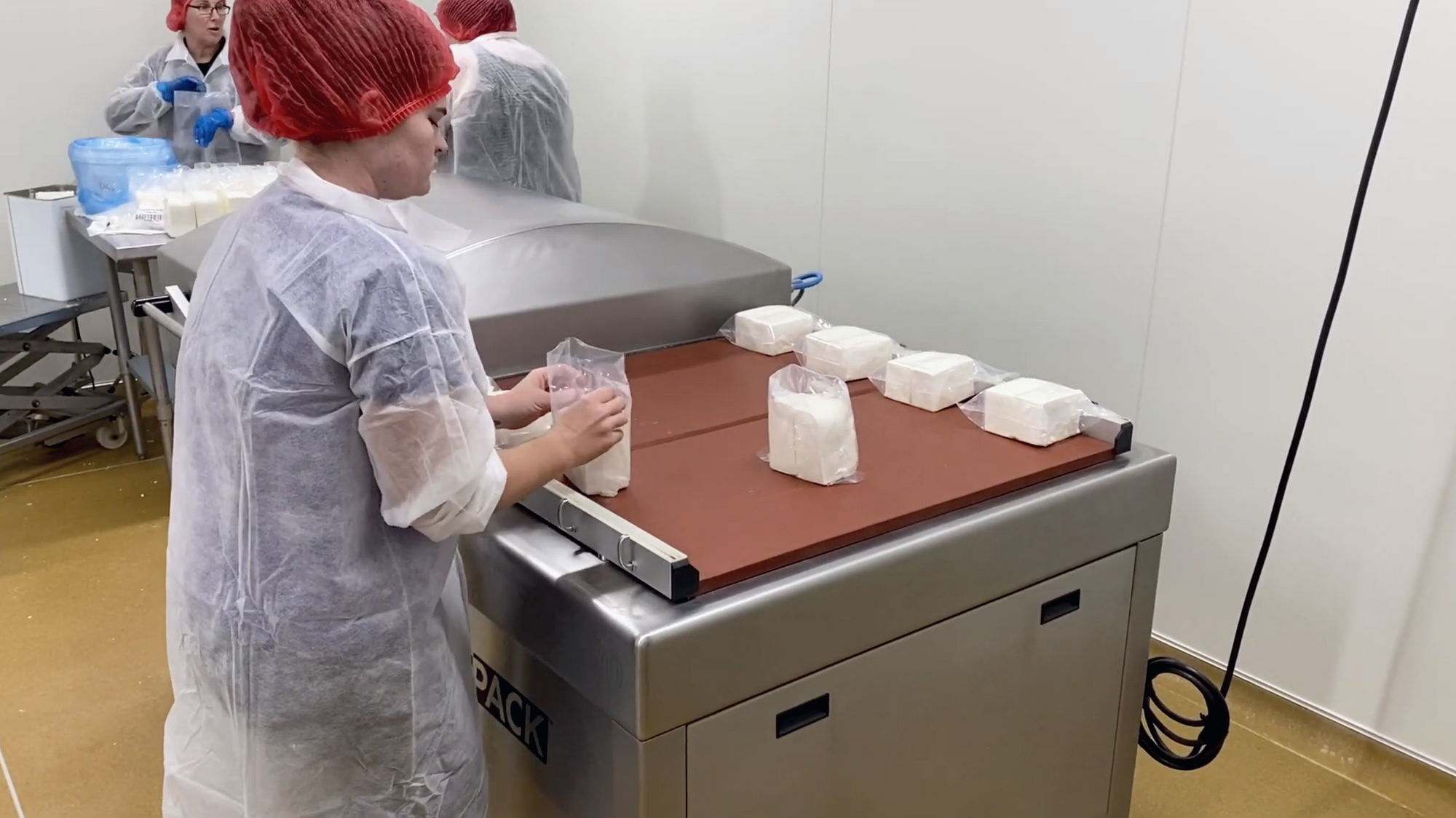 Commercial Double Chamber Vacuum Packers | Vacpack